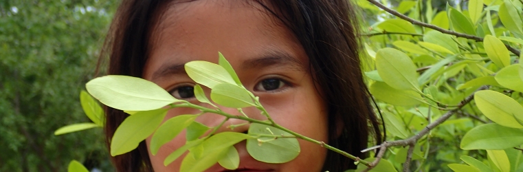 Reforestation of Desert Lands Using Simple Technology Reforestation of Desert Lands Using Simple Technology